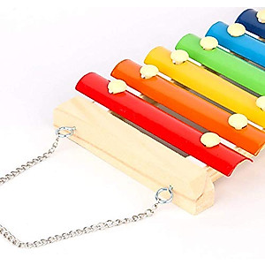 DUJIAOSHOU Wooden Bird Toys，Toys Educational Training Creative Block Discolored Intelligence Toys for Parrot Parakeet (B Toys)