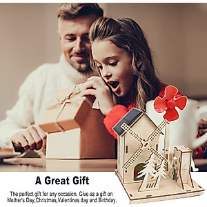 DIY Wooden Science Experiment Educational STEM Building Kit - Science Models Stem Projects for Power Generation - Solar Energy,Hand Crank Generator-Creative Motor Kit for Kids,Teens