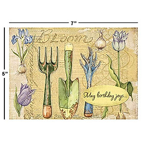 Susan Winget Birthday Greeting Cards Value Pack - Set of 20 (10 designs), Large 5" x 7", Happy Birthday Cards with Sentiments Inside, Envelopes Included