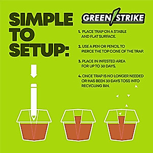 GREENSTRIKE 2-PACK Premium Fruit Fly Traps For Indoors | 2 Pre-Filled Lures Effectively Trap Flies Indoors | Easy Effective and Safe to Use | Food-Based Lure/Bait Catcher | Red