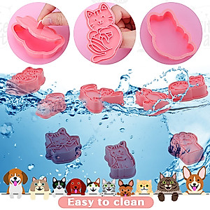8 Pcs Cat Cookie Cutters with Plunger Stamps Set 3D Cat Paw Shape Biscuit Cutter Funny Cartoon Cookie Stamps Stamped Embossed Cat Cookie Cutters for Treats DIY Cookie Cake Baking Supplies