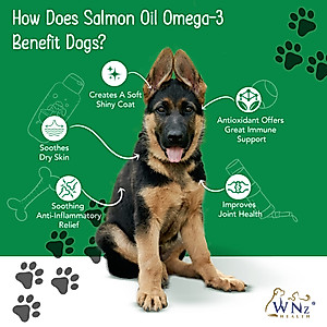 Omega 3 Skin and Coat Chews for Dogs, Dog Salmon Oil Supplement for Joint Pain Relief, Immune Support, Skin and Coat Supplements for Dogs, Chewable Dog Treats for Itchy Skin Relief, 55 Chews, 8 Oz