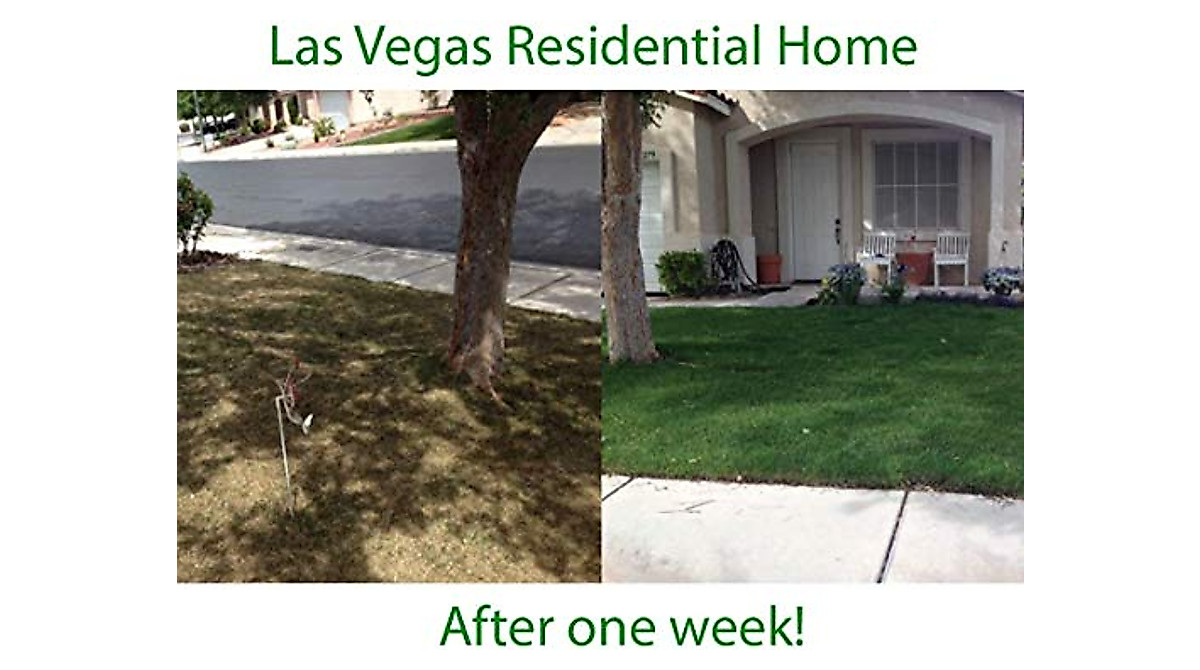 Grow Greener, Thicker Lawns with Premium Coir Top Dressing