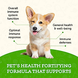 Animal Essentials Super Immune for Dogs & Cats - Immune System Support Supplement, Echinacea, Eleuthero, Olive Leaf Extract, Liquid Drops - 1 Fl Oz