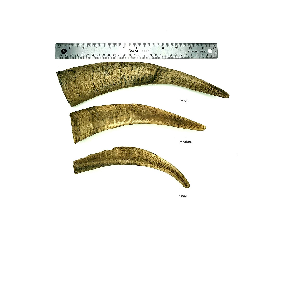 Herders Choice Chews Dried Goat Horns Dog Chew Large 1 pc.