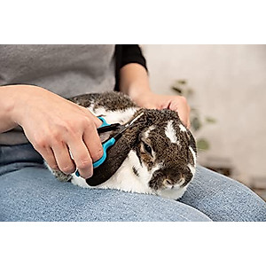 TRIXIE Pet Grooming Scissors, For Dogs and Cats, Pet Face, Nose, Ears, and Paw Hair, Round Tip, 3" ( 8cm)