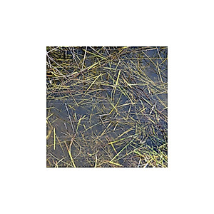 AKI Diorama Effects - Still Water 250ml