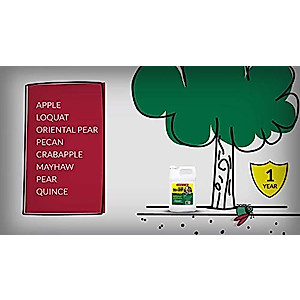 Compare-N-Save Systemic Tree and Shrub Insect Drench - 75333, 1 Gallon