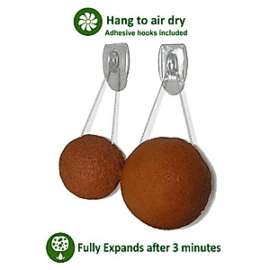 Konjac Sponge Set: Organic Skincare Facial for Natural Exfoliating and Deep Pore Cleansing 5 Piece Sampler Pack Infused with Charcoal, Turmeric, Green Tea