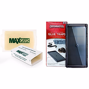 Catchmaster Mouse & Pest Glue Board Bundle, 36 Unscented Glue Boards & 6 Pack Large Glue Traps, Rat & Mouse Traps Indoor for Home, Pest Control