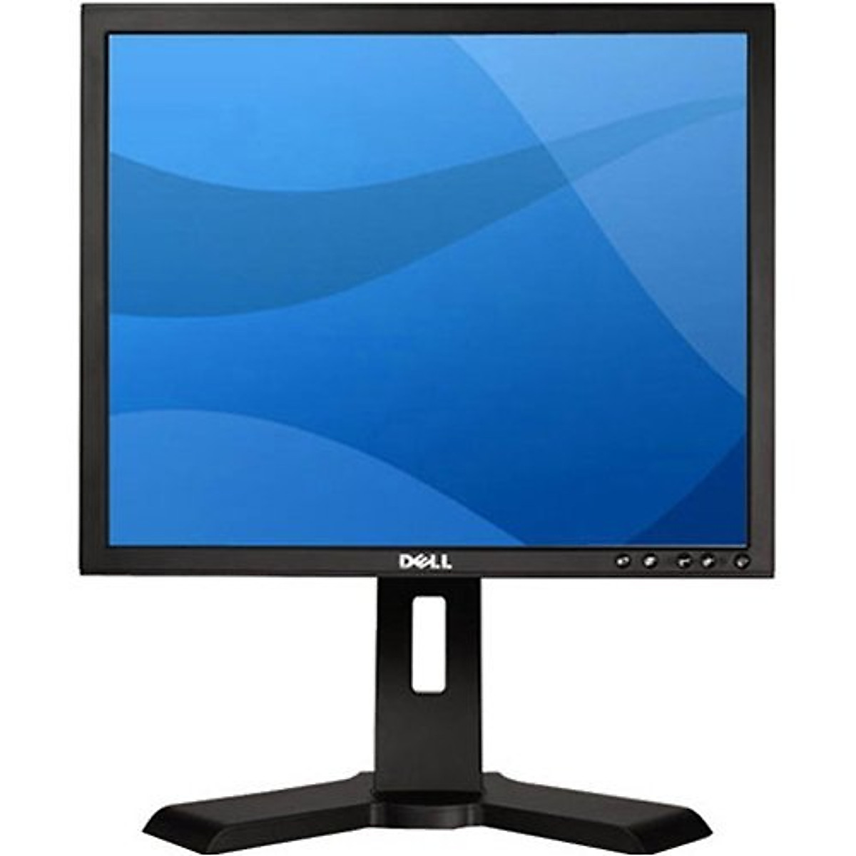 Dell Professional P190S 19-inch Flat Panel Monitor (Renewed)