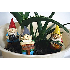 MUAMAX Miniature Gnome Figurines Set of 3 Small Gnomes Sets for Fairy Gardens Gnomes Gifts Gnome Garden Accessories