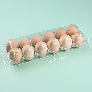 24Pack Clear Plastic Disposable Egg Tray Carton Holder for Family Pasture Chicken Farm Business Market- Holds up to 12 Eggs Securely
