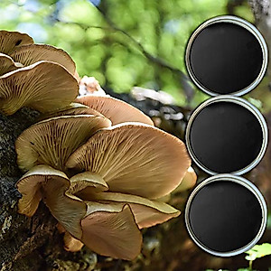 Malt Extract Agar Plates with Activated Charcoal - Evviva Sciences - Improved - Prepoured Charcoal MEA Petri Dishes - Excellent Growth Medium - Great for Mushrooms & Science Projects