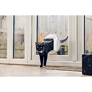 SureFlap Microchip Cat Door Connect, 5.13" L X 5.63" W X 4.75" H, Small, White