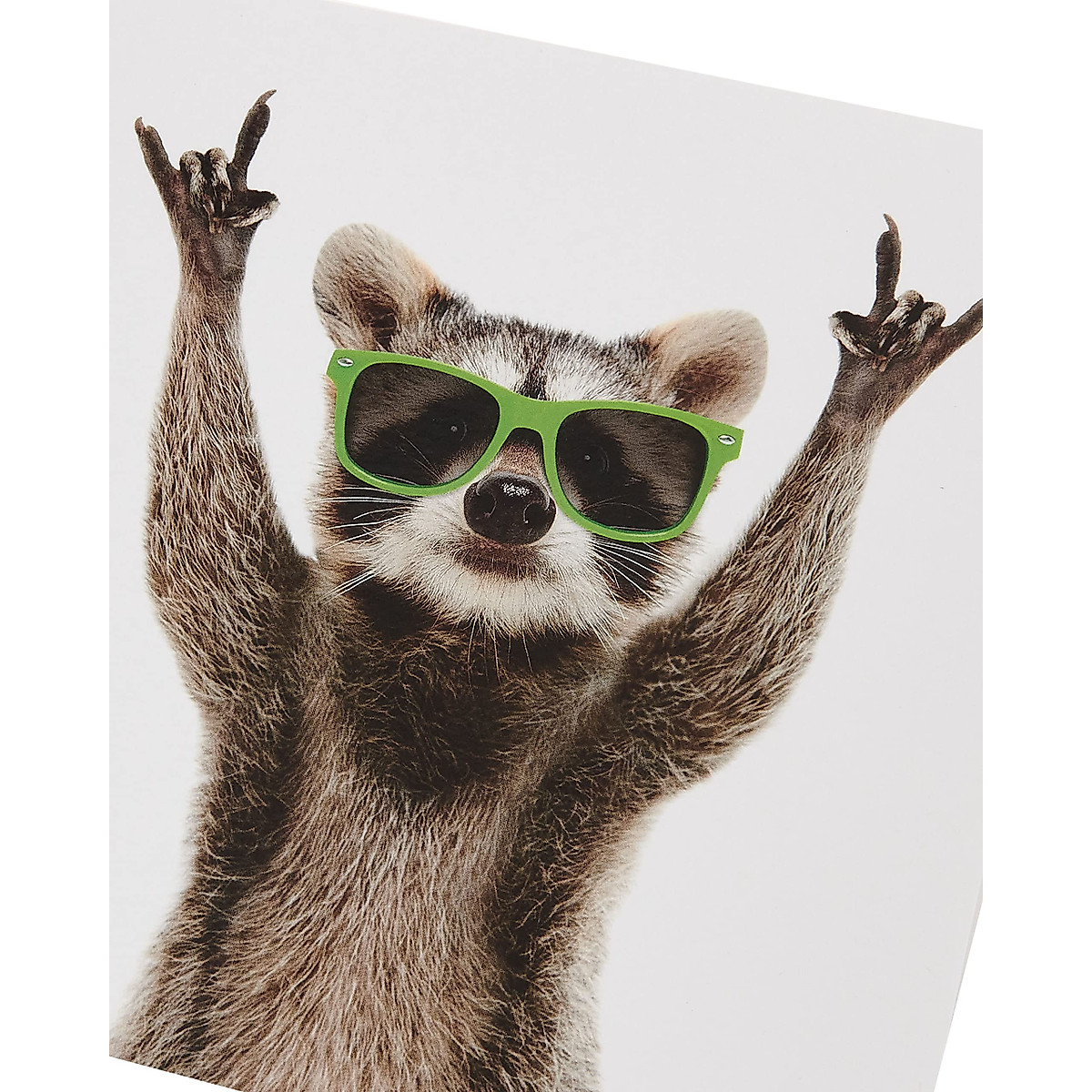 UK Greetings Birthday Card For Him/Male/Friend With Envelope - Raccoon Design