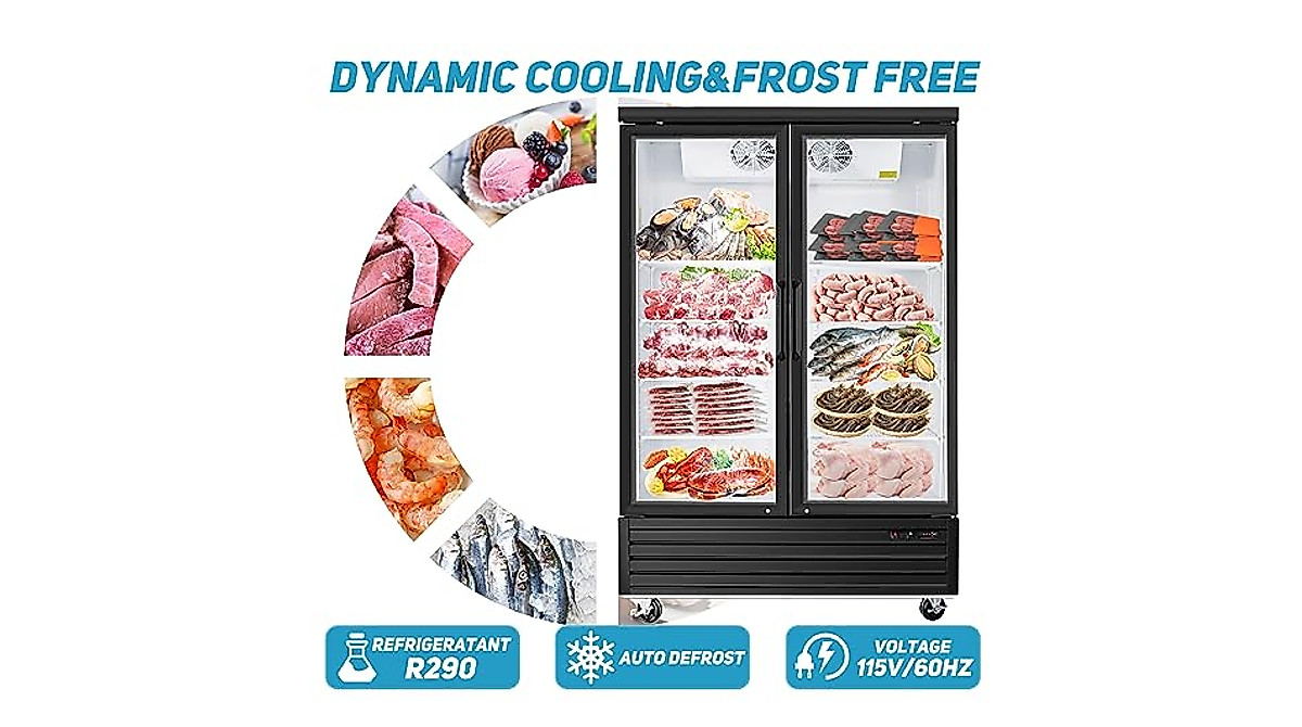 BLUELINETECH 35 Cu. Ft. Commercial Display Freezer