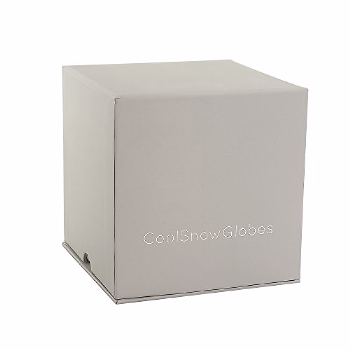 CoolSnowGlobes Big Blue Marble Planet Earth Cool Snow Globe