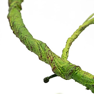 Pangea Reptile Ultimate Vine for Terrarium Habitat (Green)