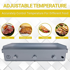 AMS Fireplace Le Griddle | 3 Burner Outdoor 304 Stainless Steel Griddle 41" | (Natural Gas, Three Burner Griddle) 21,000 Btu's Tasty Cooking - Outdoor Clothing Cover Included. Made in France (GFE105)