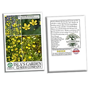 Western Buttercup Long Blooming Field Flower Seeds, 1000+ Seeds Per Packet, (Isla's Garden Seeds), Non GMO & Heirloom, Scientific Name: Ranunculus occidentalis, Great Home Garden Gift