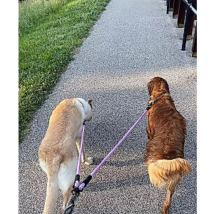 Mycicy Double Dog Leash Coupler, Extension Rope for Two Dogs, No Tangle Dual Dog Lead Splitter for Small Medium Dogs 10-35 lbs (1/3" X 33"- Pinkblue)