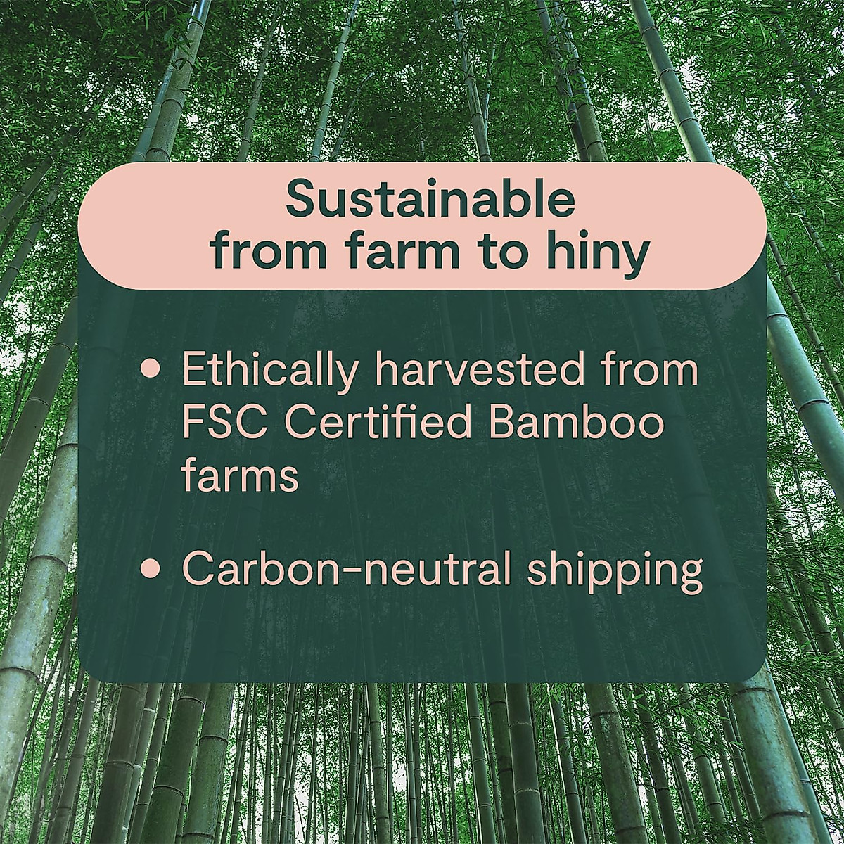 ecoHiny Premium & Soft Bamboo Toilet Paper | 12 Mega Rolls, 3 ply, 350 Sheets | FSC Certified, PFAS & BPA Free, Septic Safe | Tree Free & Plastic Free