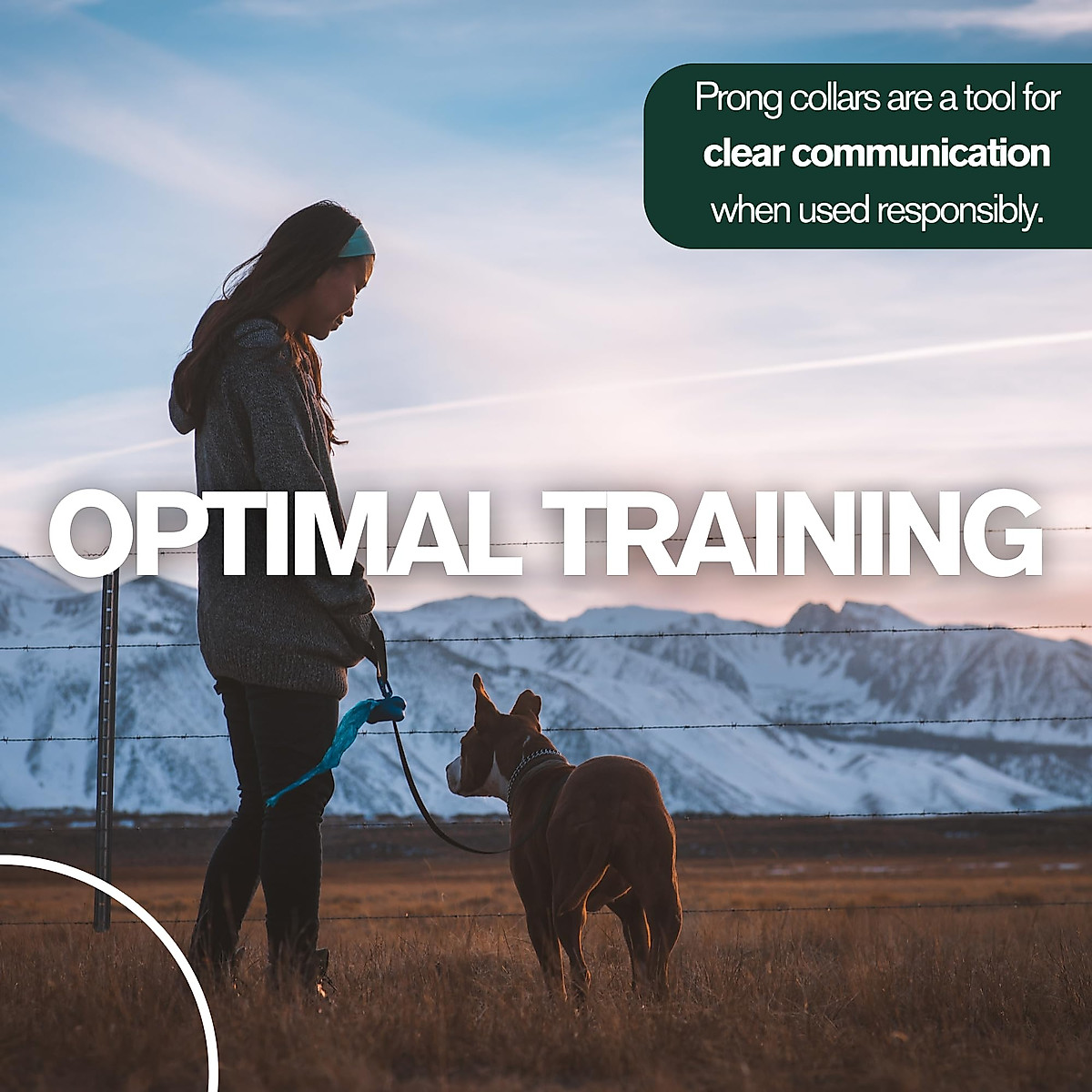 Kimberland Collars Clasp 2.25mm Stainless Steel Low Pro Dog Training Collar for Medium-Large Breeds | 16” Micro Prong Collar for Dogs 26lbs & Up | No-Pull Collar | Dog/Puppy Training & Behavior Aid