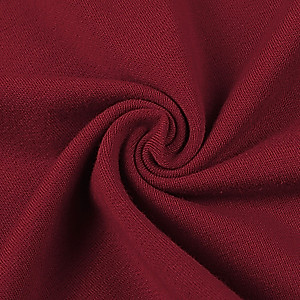 LecGee Men's Casual Slim Fit Lightweight Long Sleeve Pullover Top Thermal Turtleneck T-Shirt Wine Red