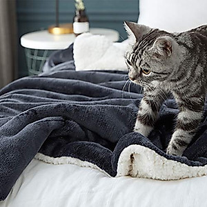 LBRO2M Sherpa Fleece Bed Blanket Queen Size Super Soft Fuzzy Plush Warm Cozy Fluffy Microfiber Couch Throw Velvet Double Reversible Luxurious Blankets,Dark Grey