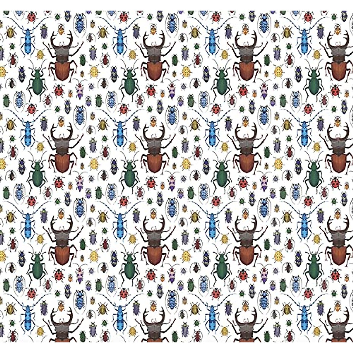 Stesha Party Insect Gift Wrap, Bug Birthday Present Wrapping Paper - 30 x 20 Inch (3 Sheets)