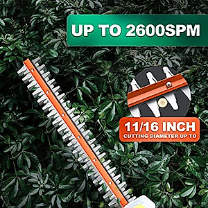MYTOL 24-Inch Electric Hedge Trimmer Cordless, 2600SPM 20V Dual-Action Fast Cutting Bush Trimmer, 11/16” (0.7 in) Cutting Capacity, 2.0Ah Battery & 60W Fast Charger Hedge Clippers