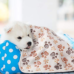 4 Pcs Pet Blanket Dog Puppy Blanket Paw Print Fleece Blanket for Small Medium Large Pet Dog Cat Warm Soft Sleep Mat Guinea Pig Cage Liners Blanket (White, Coffee, Pink, Purple, Small)