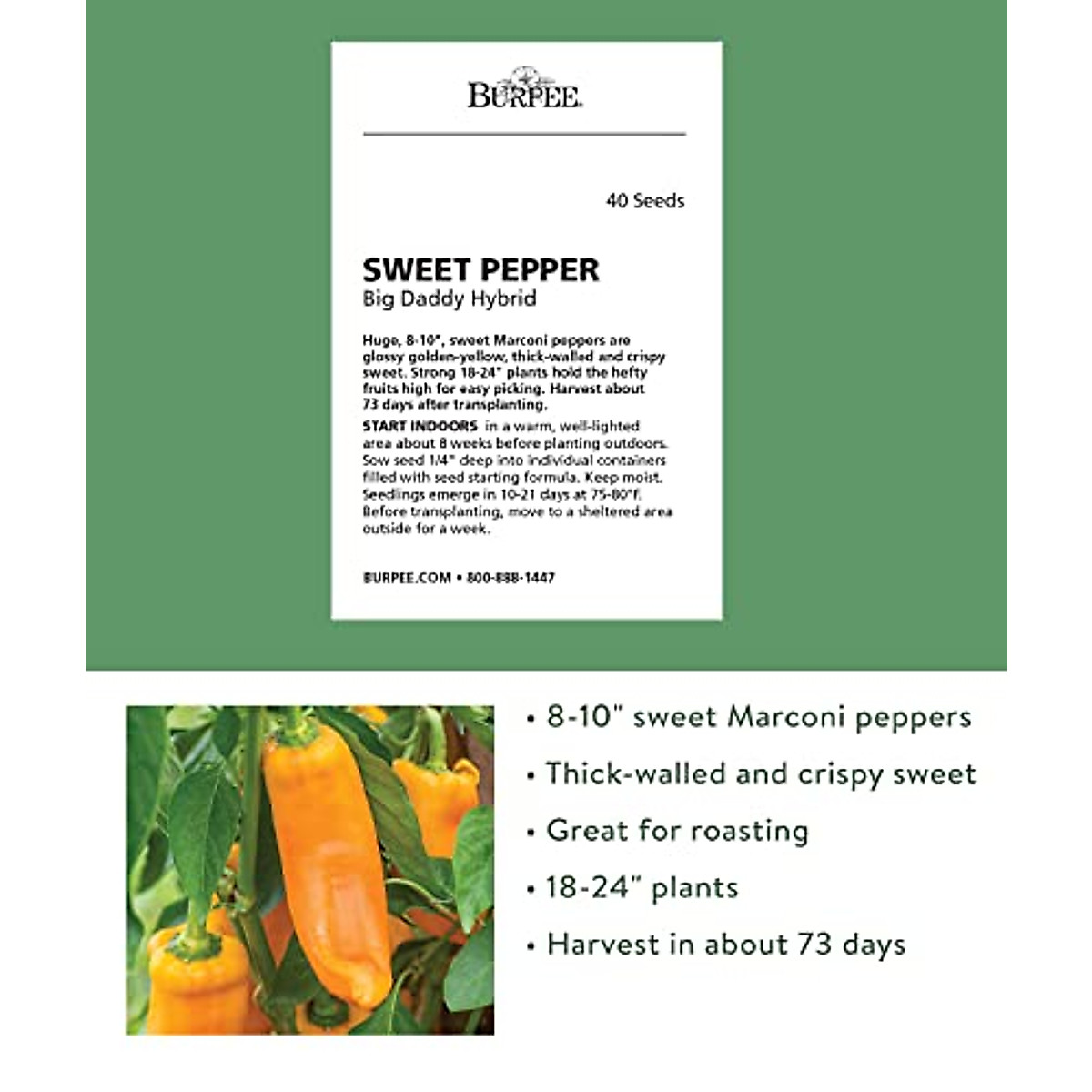 Burpee Big Daddy Sweet Pepper Seeds 40 seeds