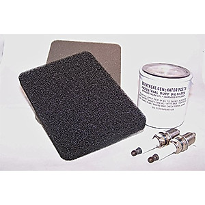 Generac 0G84420151 Portable Generator Air Filter Sets and Multipacks (Air, Oil and Spark Plugs (491055T) Maint Kit)