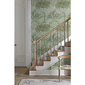 MN1823 Orchard Wallpaper Green from Mediterranean by York Wallcoverings