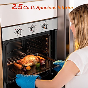 Empava 24 inch Electric Single Wall Oven 2.5 Cu.ft. Stainless Steel with Basic Broil Bake Functions Mechanical Knobs Control, 24WOE40L, Silver