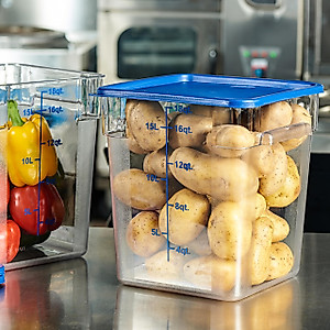 CURTA 4 Pack Food Storage Containers with Blue Lids - NSF Listed Commercial Grade in 18.0 Qt - Square, Clear, Polycarbonate
