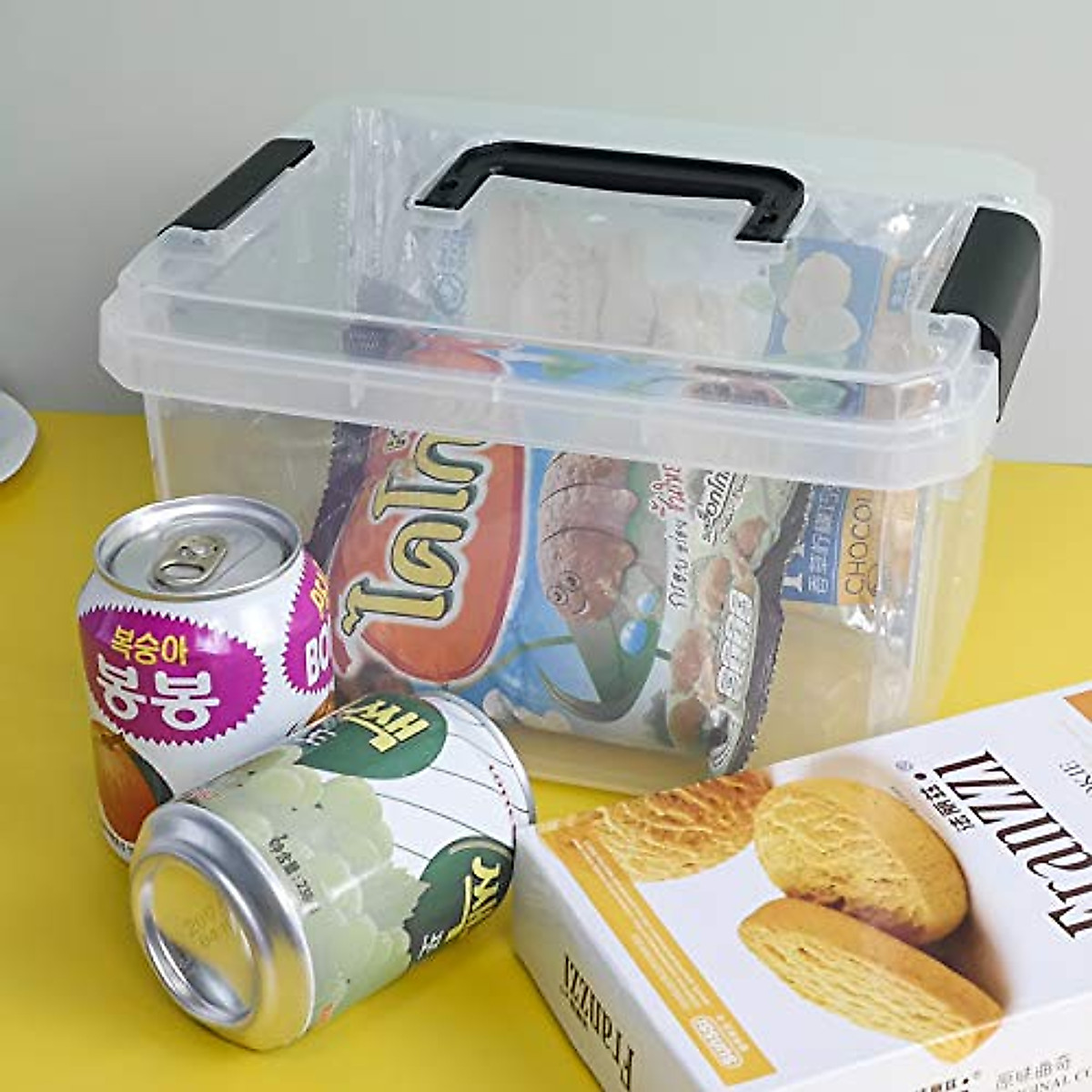 Ortodayes 4 Packs Plastic Box with Lid, Plastic Storage Bin, Small Storage Boxes