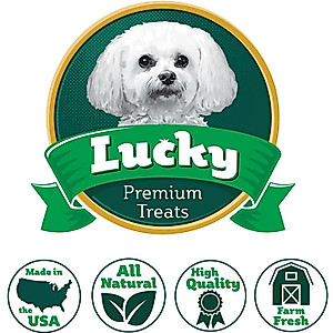 Lucky Premium Treats Chicken Wrapped Sweet Potato Dog Treats, Natural Sweet Potato and Chicken Wraps, Gluten-Free Dog Chews, Healthy Snacks for Dogs, 4.5", 23 Chews