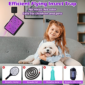 Effective LED Gnats Traps Indoor for Home, Mosquito Traps Indoor for Fruit Flies, Pests, Moths, Flying Insect Trap Indoor for Stop Mosquito Bites, Black [Fly Trap+6 Glue Card]
