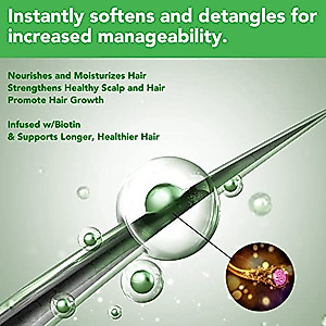 Rosemary Conditioner for Hair Growth,Rosemary Oil for Hair Growth Mint Strengthening Conditioner,Conditioner for Women Hair Loss And Thinning Hair,Hair Conditioner With Biotin,Coconut