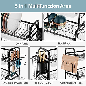iSPECLE Dish Drying Rack - 2-Tier Dish Rack with Utensil Holder, Cutting Board Holder and Dish Drainer, Metal, for Kitchen Counter, Black