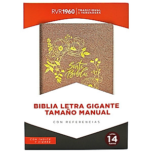 Biblia para Mujeres Reina Valera 1960 Letra Gigante de 14 Puntos Tamano Manual con Cierre y Indice Semil Piel Color Rosa Perla con Dorado Edicion Limitada