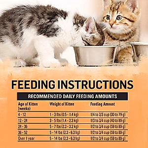 Beyond Purina High Protein, Natural Kitten Food, Kitten Chicken & Oatmeal Recipe - 3 lb. Bag