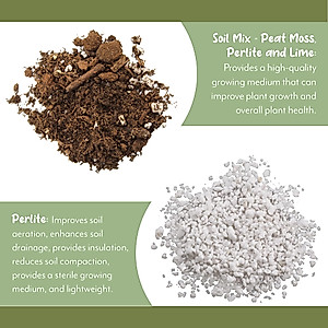 Bird of Paradise Potting Soil Mix (8 Quarts), All Natural Mix for Indoor/Outdoor Container Tropical Plants