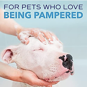 TropiClean SPA Shampoo Tear Stain Remover for Dogs | Oatmeal & Blueberry Scented Facial Cleanser for Dogs | Ideal for White Dogs & All Other Coats | Cat Friendly | Made in the USA | 8 Oz