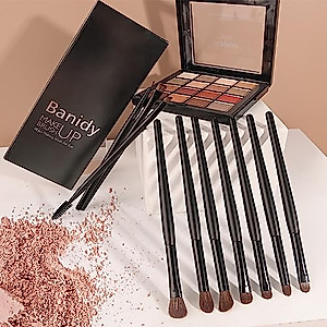 Banidy Eye Makeup Brushes 10pcs Eyeshadow Brushes Professional Eyebrow Eyeliner Makeup Brushes Set with Soft Synthetic Hairs & Real Wood Handle for Eyeshadow,Eyebrow, Eyeliner,Concealer,Foundation, Powder, Blending