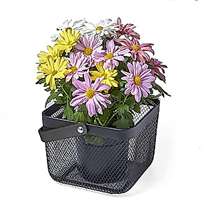 Nifty Solutions Small Mesh Basket with Folding Handles – Modern Metal Black Design, Rectangular Steel Construction, Home Storage Bin, Shelf, Cabinet & Closet Organizer, (7740SB-BLK)