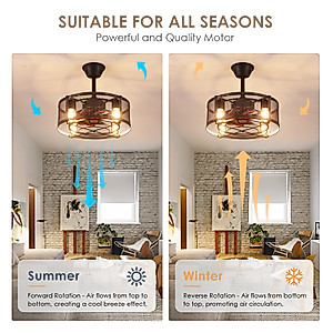 Dannilong Caged Ceiling Fans with Lights and Remote, Farmhouse Ceiling Fan with Light Bladeless, Small Ceiling Fan for Kitchen Bedroom Outdoor, 18 Inch Black Fandelier, Reversible Quiet Motor